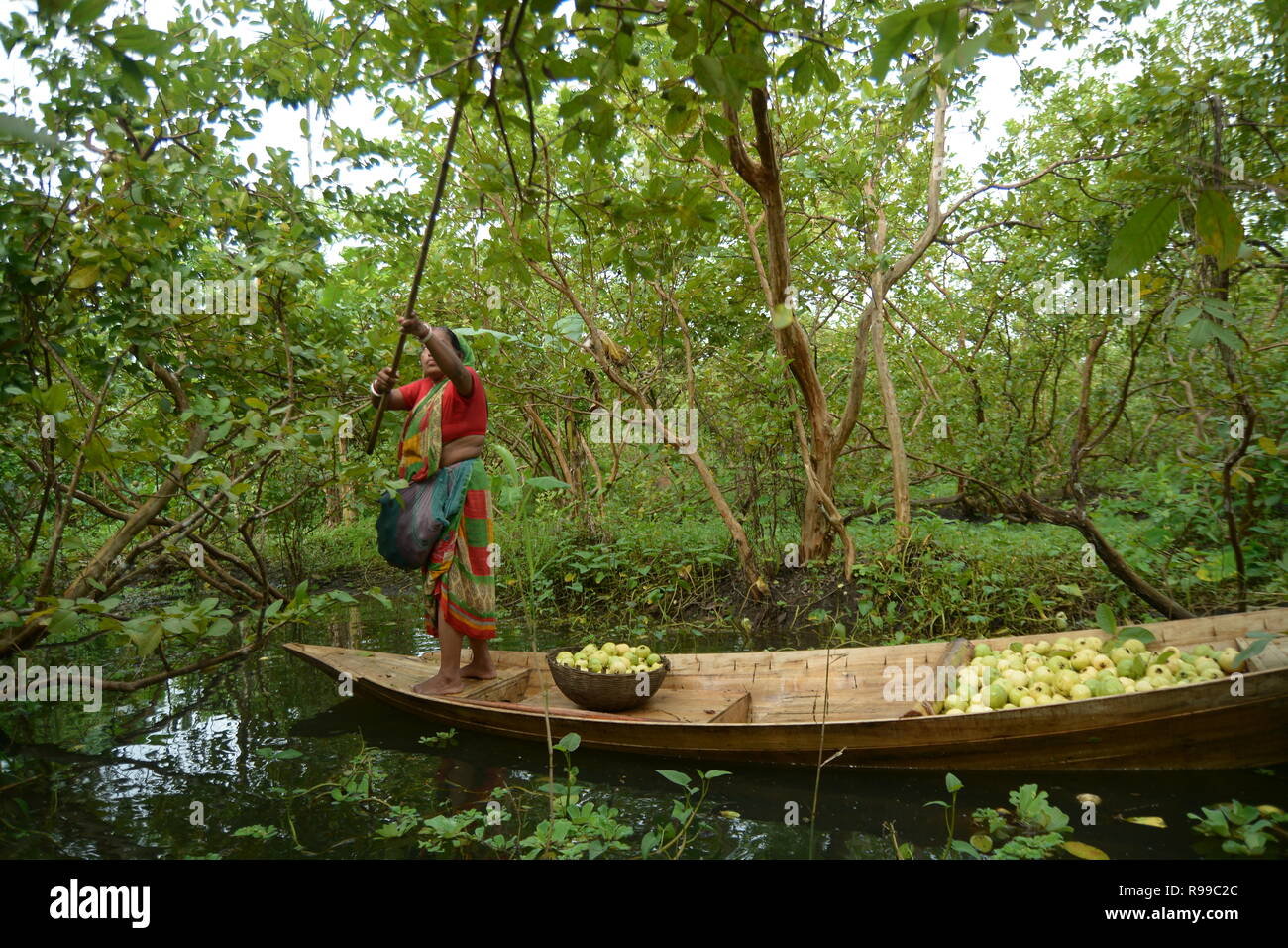 Welcome bangladesh hi-res stock photography and images - Alamy