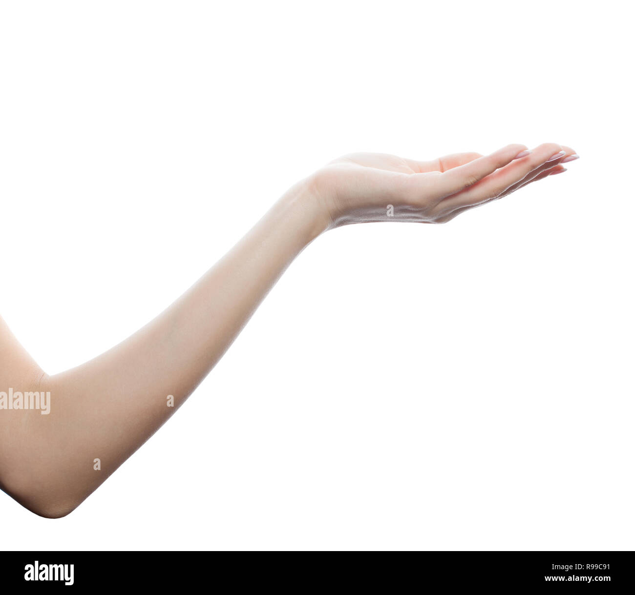 Empty female hand isolated on white background Stock Photo - Alamy