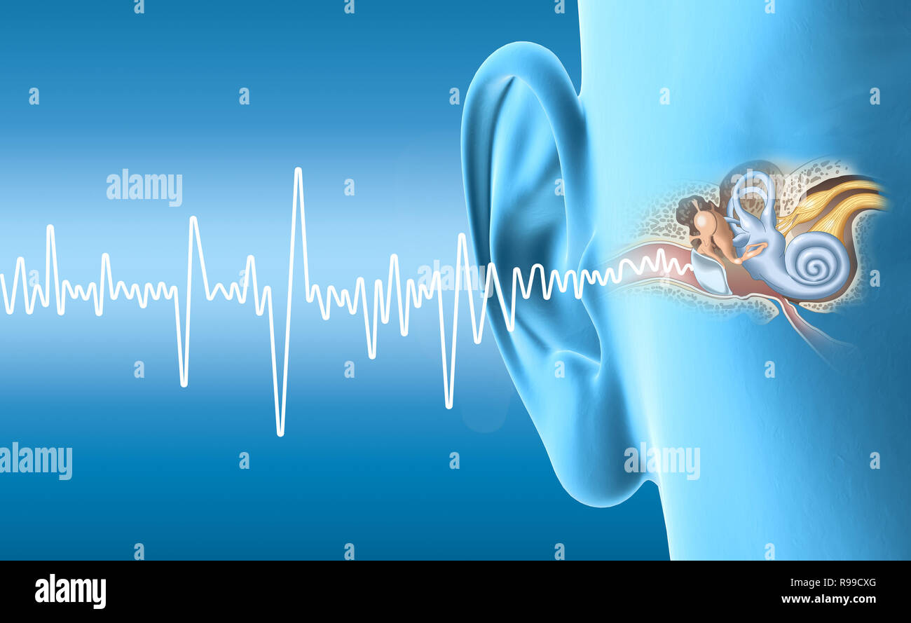 Human ear anatomy with sound waves on blue background, 3D illustration ...