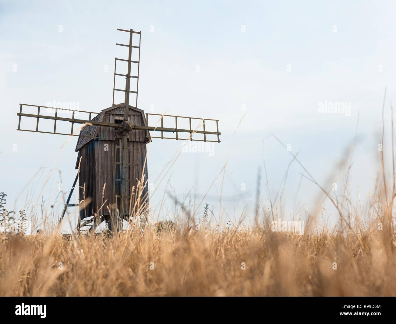 Grainfield wind hi-res stock photography and images - Alamy