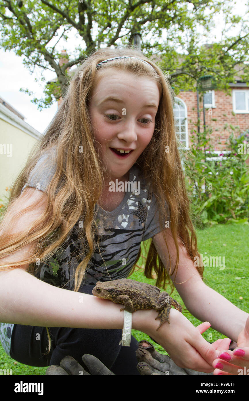Girl holding common toad hi-res stock photography and images - Alamy