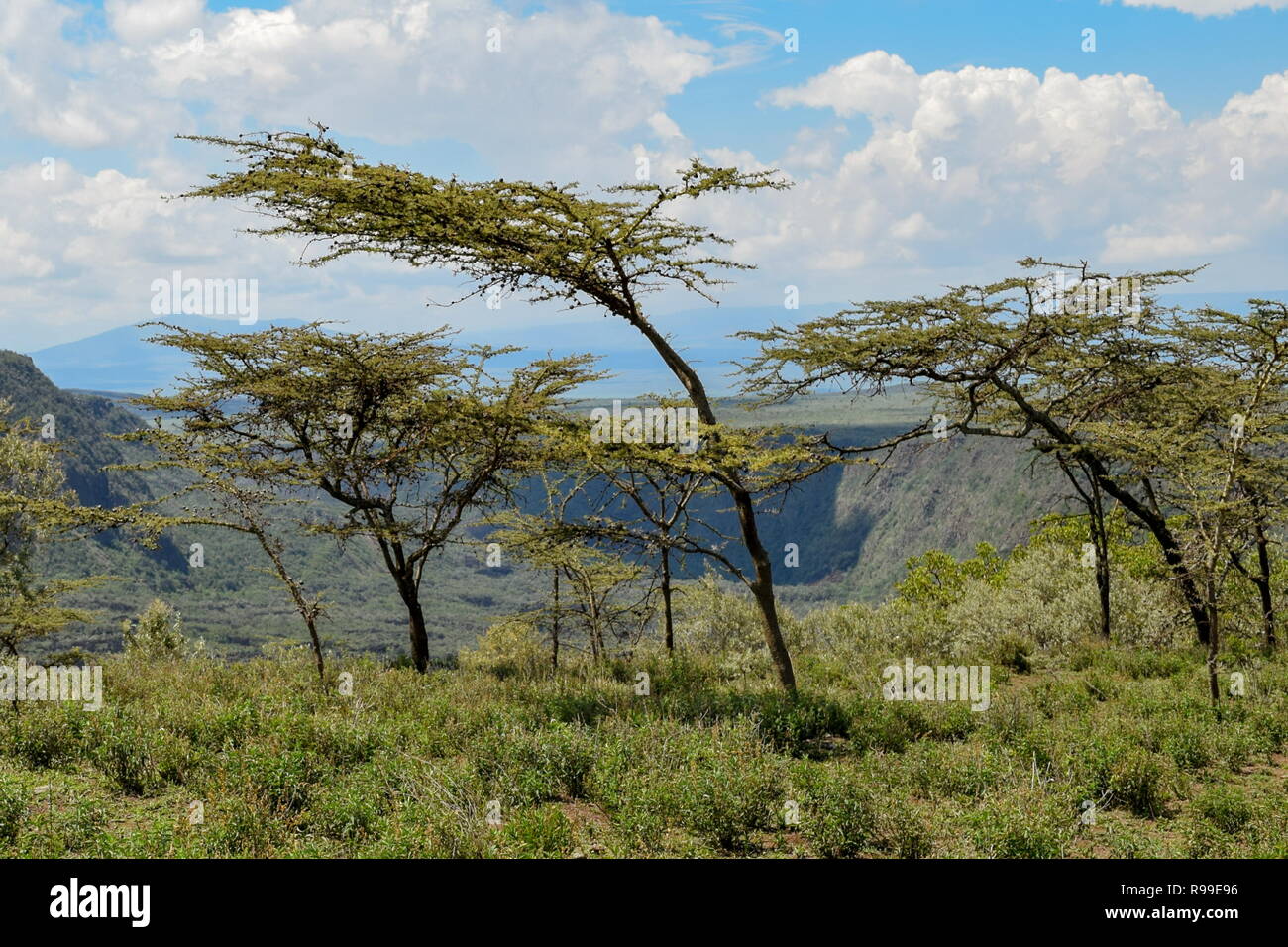 Climbing Mount Suswa, Suswa Conservancy, Kenya Stock Photo - Alamy