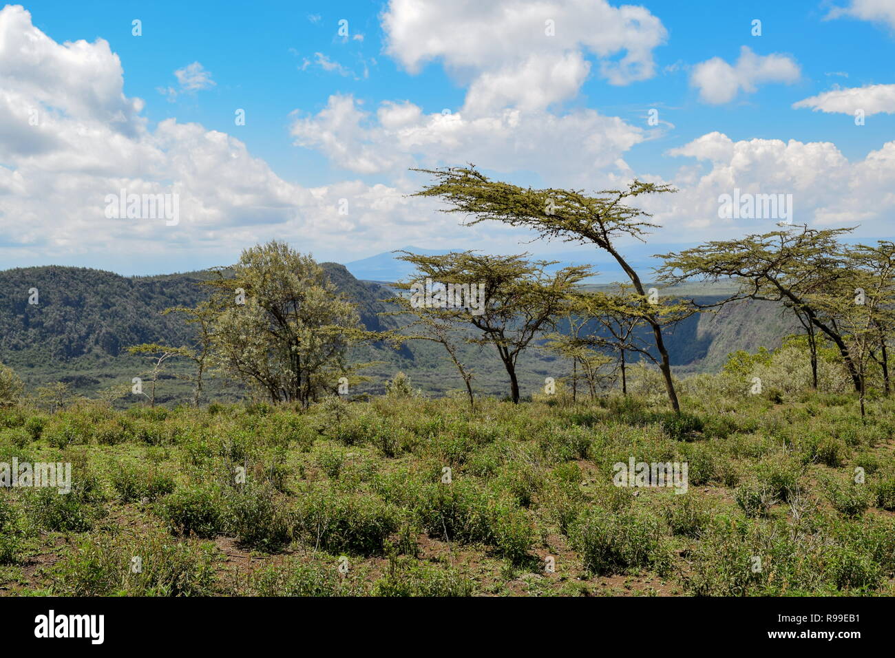 Climbing Mount Suswa, Suswa Conservancy, Kenya Stock Photo - Alamy