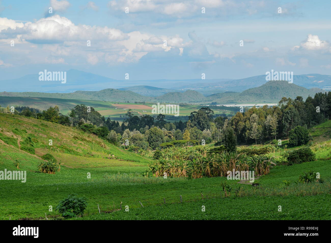 Mount Longonot and Lake Naivasha seen from Eburru Hills, Naivasha ...