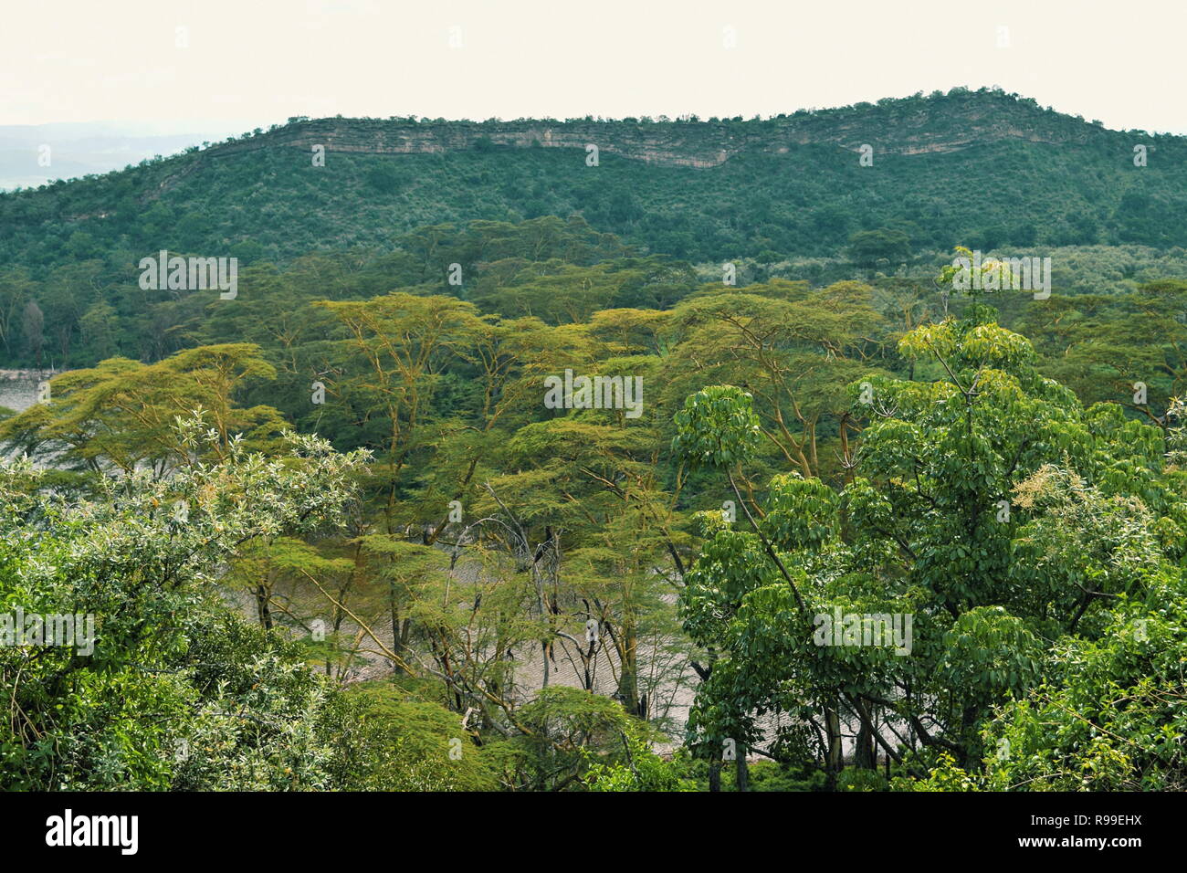Crater Lake at Lake Naivasha, Rift Valley Stock Photo - Alamy