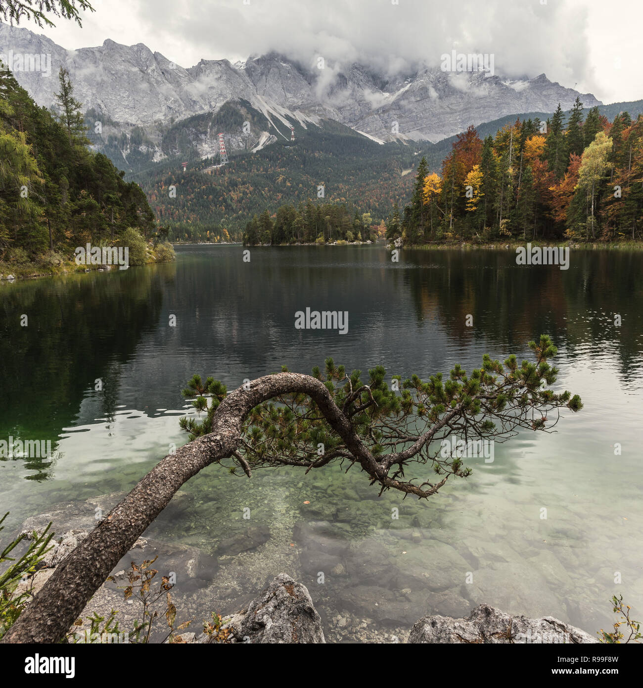 Tree branch over Lake Eibsee, Bavria, Germany Stock Photo - Alamy