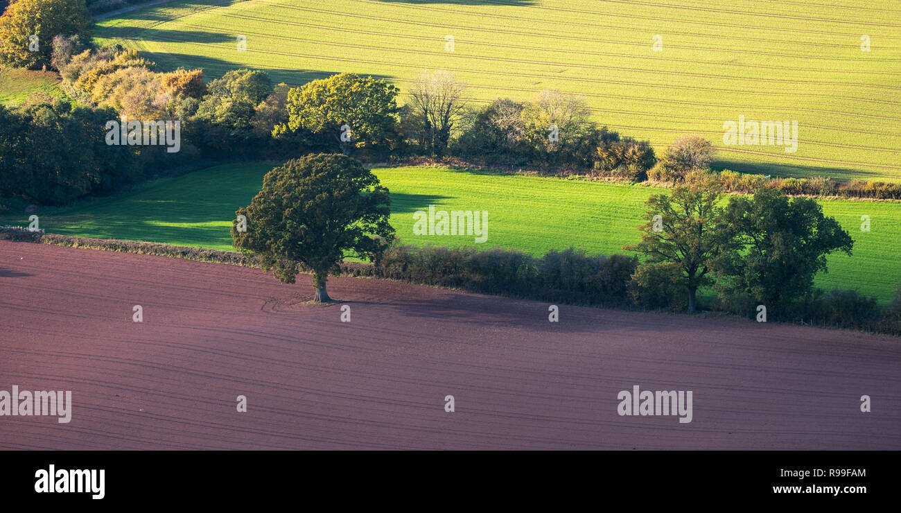 Different coloured fields during evening Stock Photo - Alamy