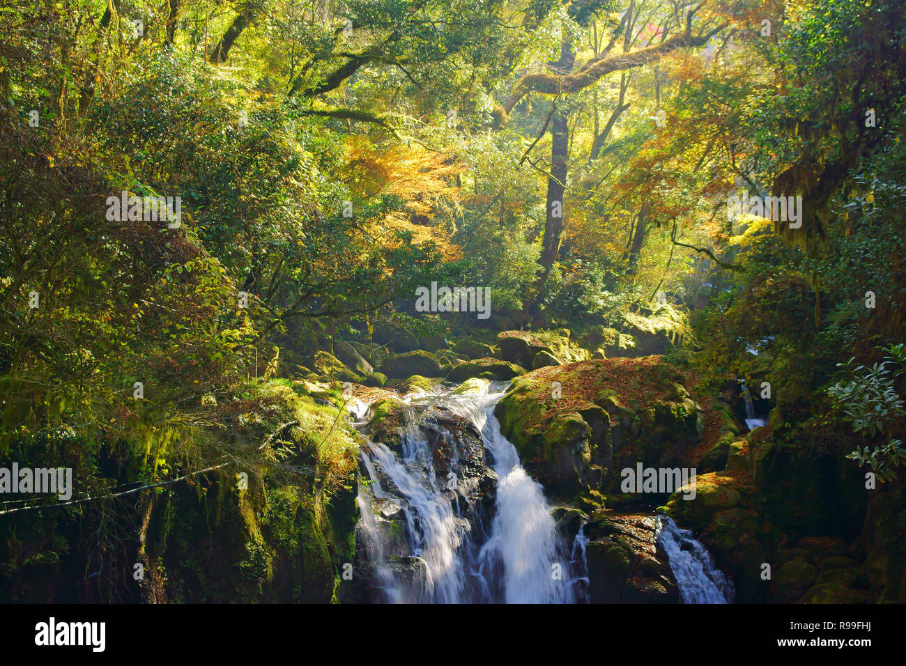 Tengu Waterfall, Kumamoto Prefecture, Japan Stock Photo - Alamy