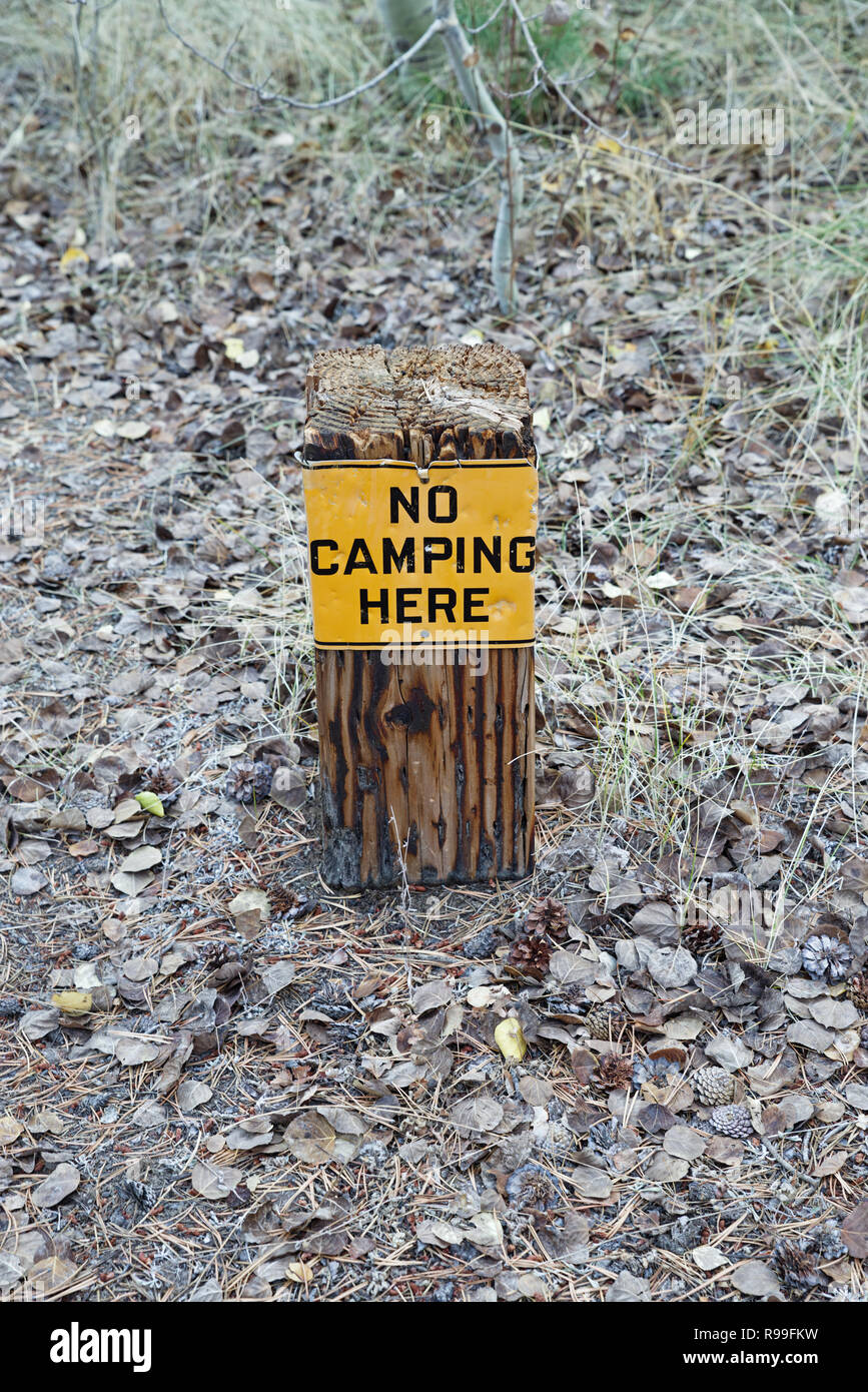 yellow and black no camping here sign on a post in the woods Stock ...