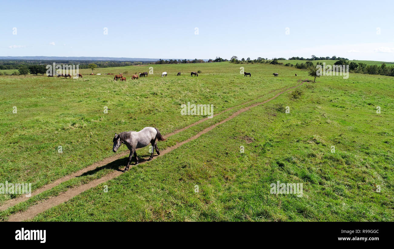 Aerial Photography of Ranch Stock Photo - Alamy