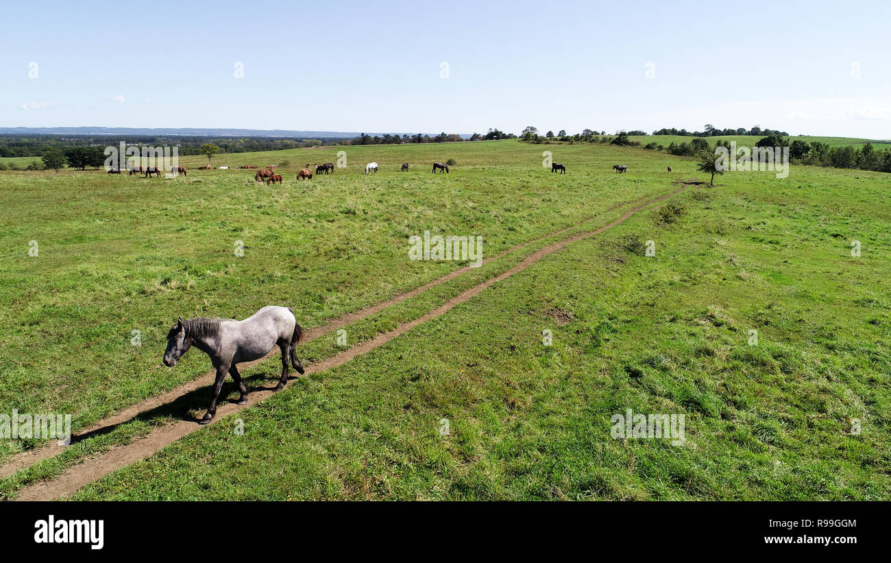 Aerial Photography of Ranch Stock Photo - Alamy