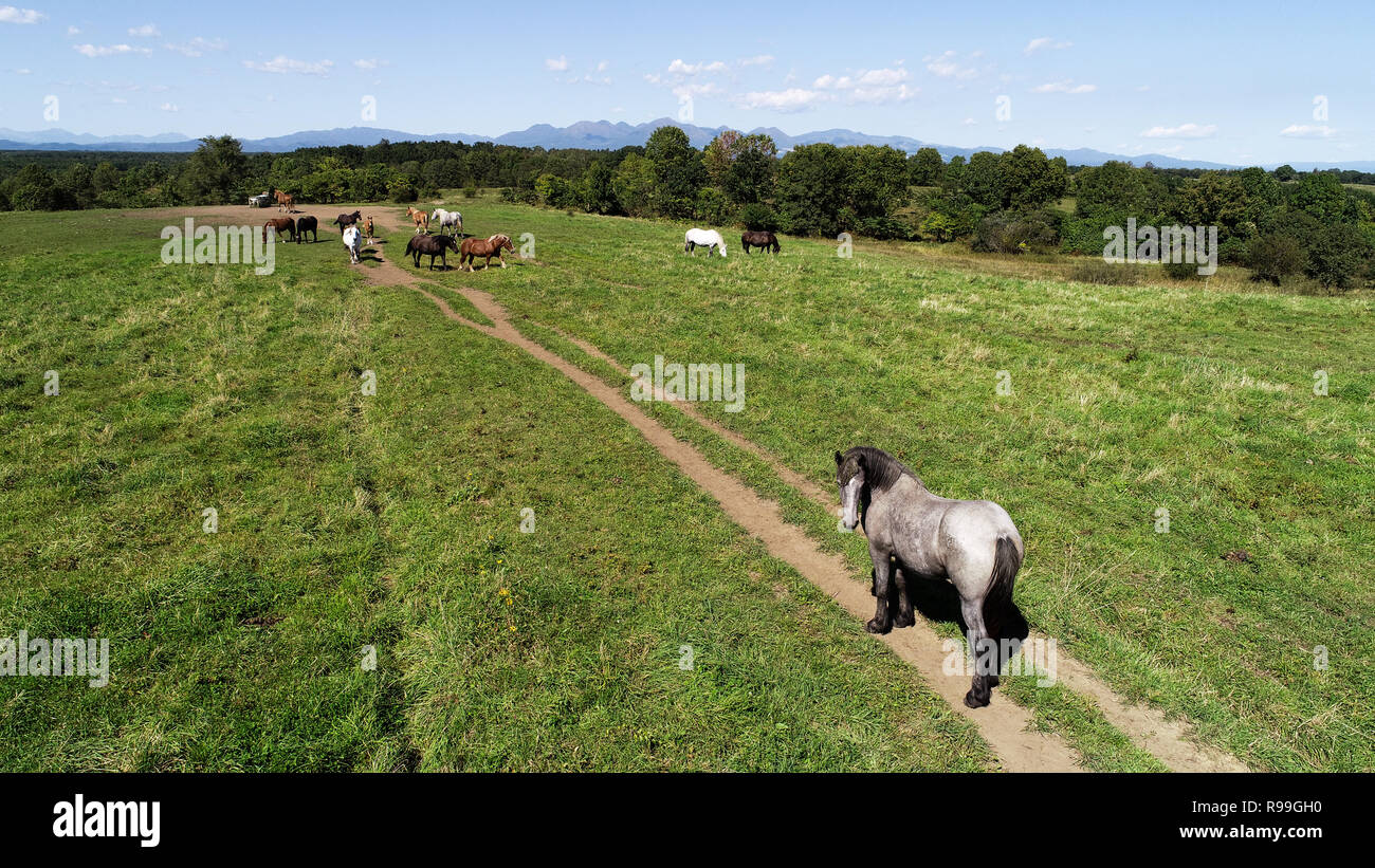 Aerial Photography of Ranch Stock Photo - Alamy