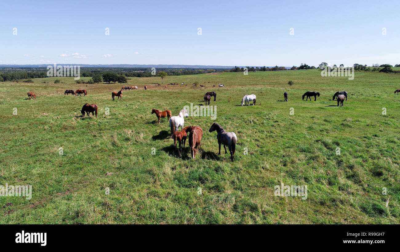 Aerial Photography of Ranch Stock Photo - Alamy