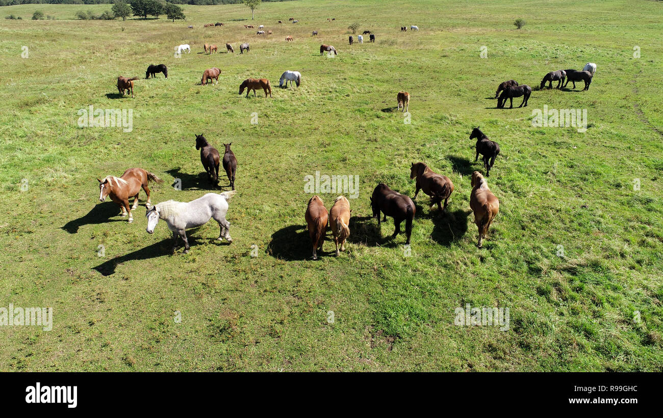 Aerial Photography of Ranch Stock Photo - Alamy