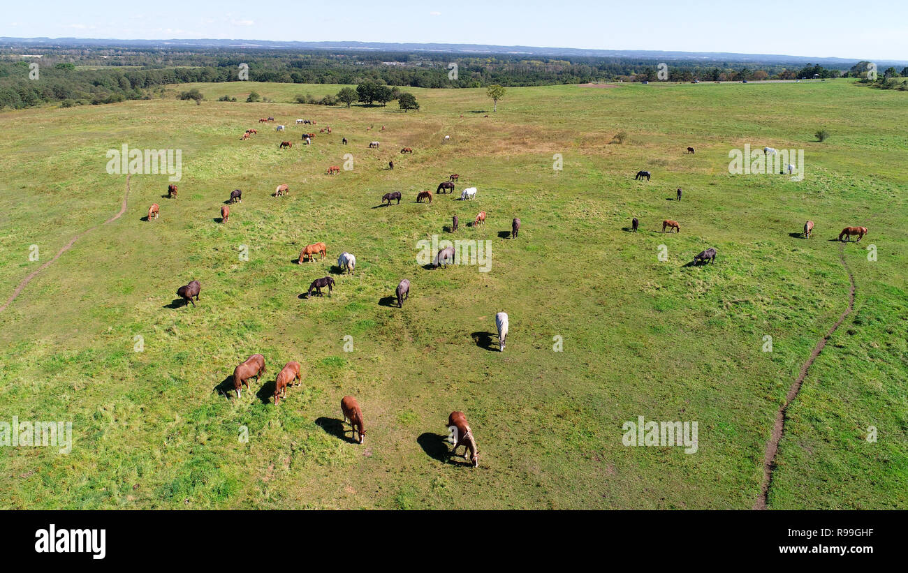 Aerial Photography of Ranch Stock Photo - Alamy