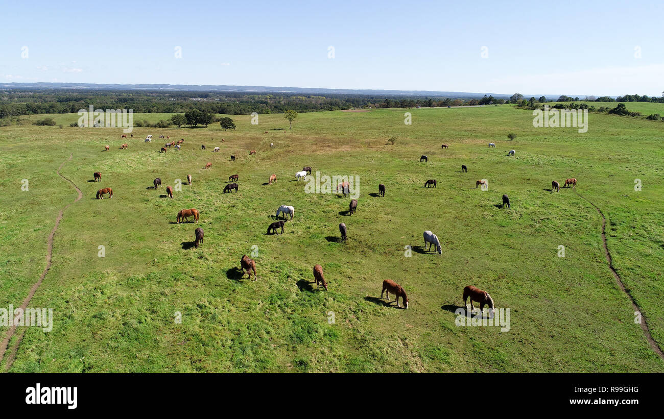 Aerial Photography of Ranch Stock Photo - Alamy