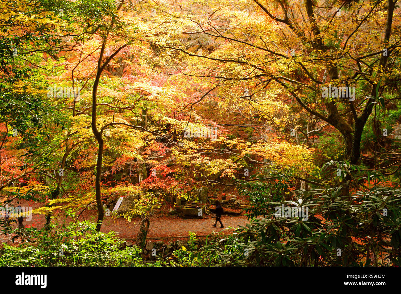 Futagoji Temple High Resolution Stock Photography and Images - Alamy