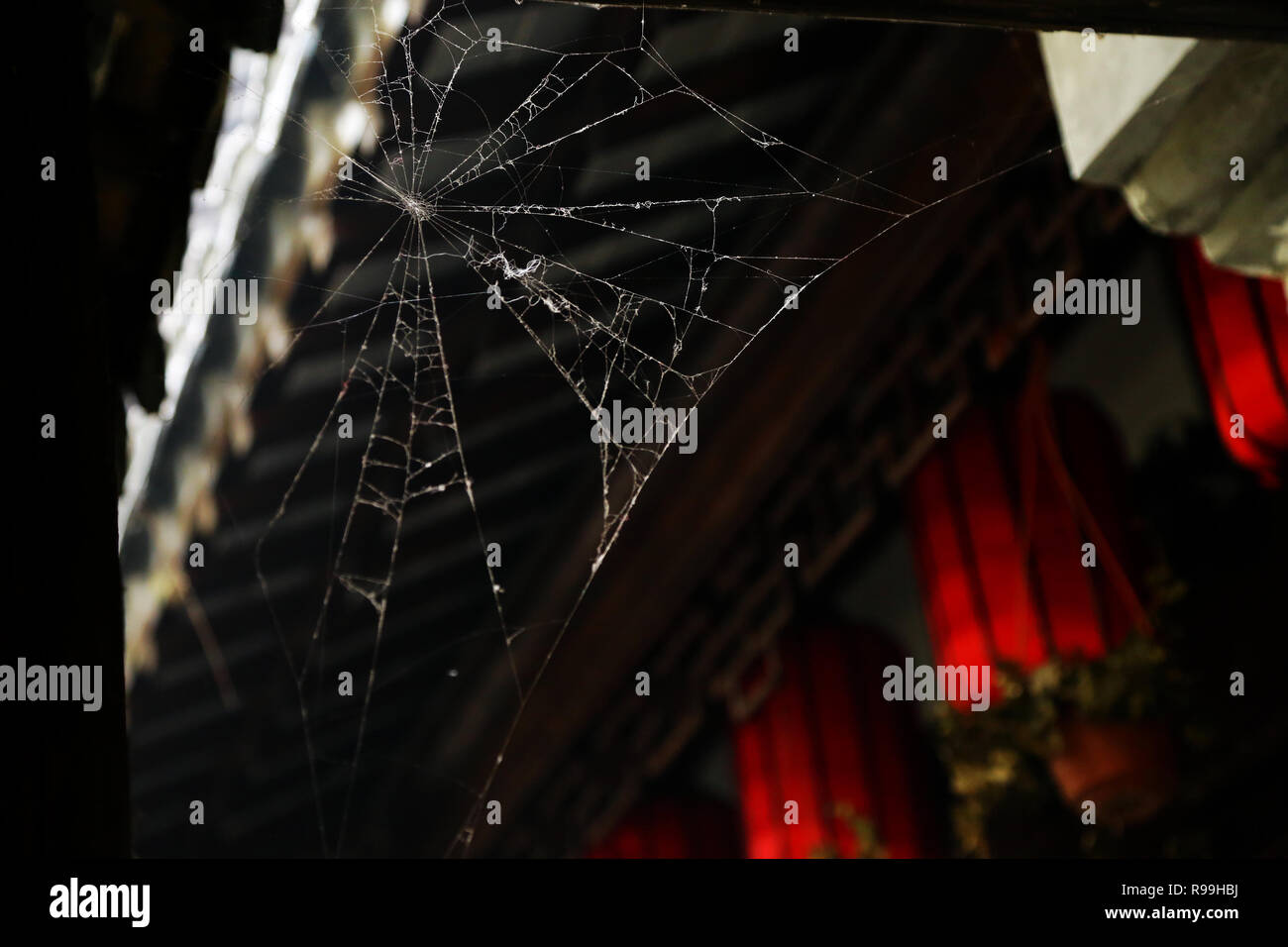 Spider web at the corner of the building Stock Photo - Alamy