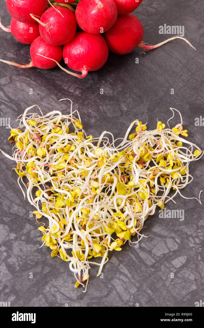 Heart shaped fresh nutritious radish sprouts, healthy nutrition concept ...