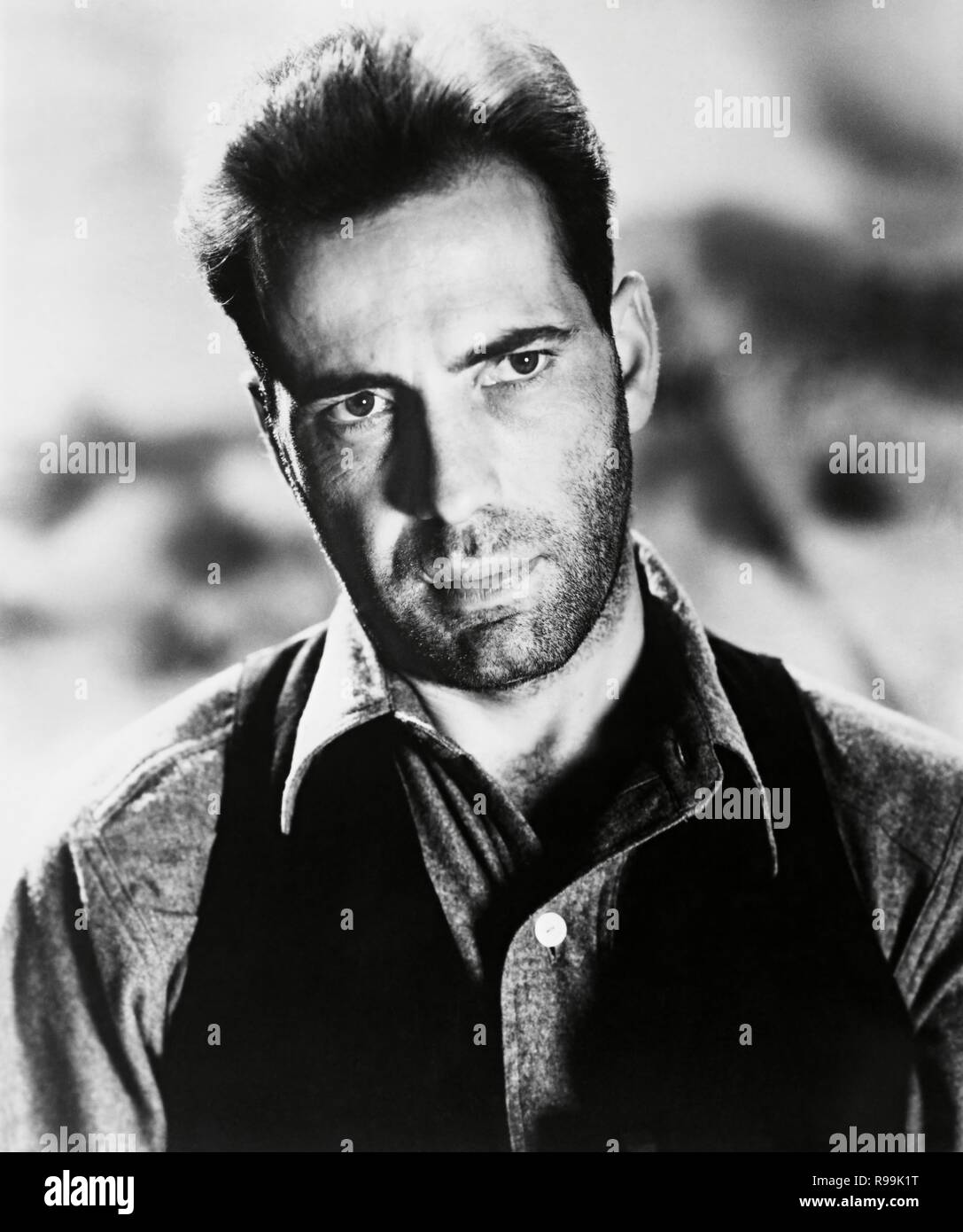 Original film title: THE PETRIFIED FOREST. English title: THE PETRIFIED ...