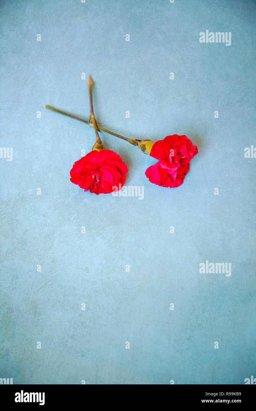 Crossed flower stems hi-res stock photography and images - Alamy