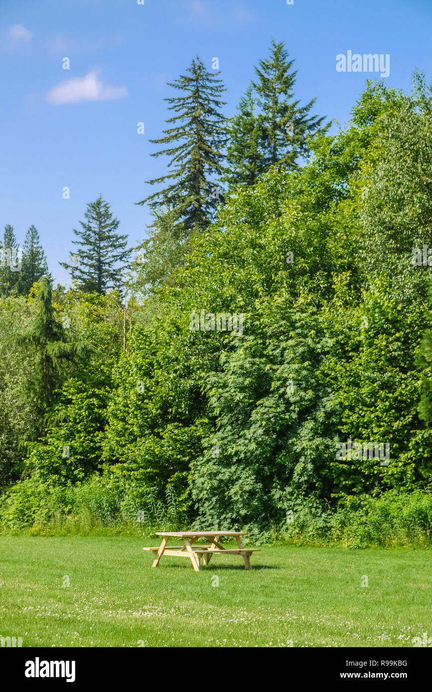 Picnic bench public area hi-res stock photography and images - Alamy