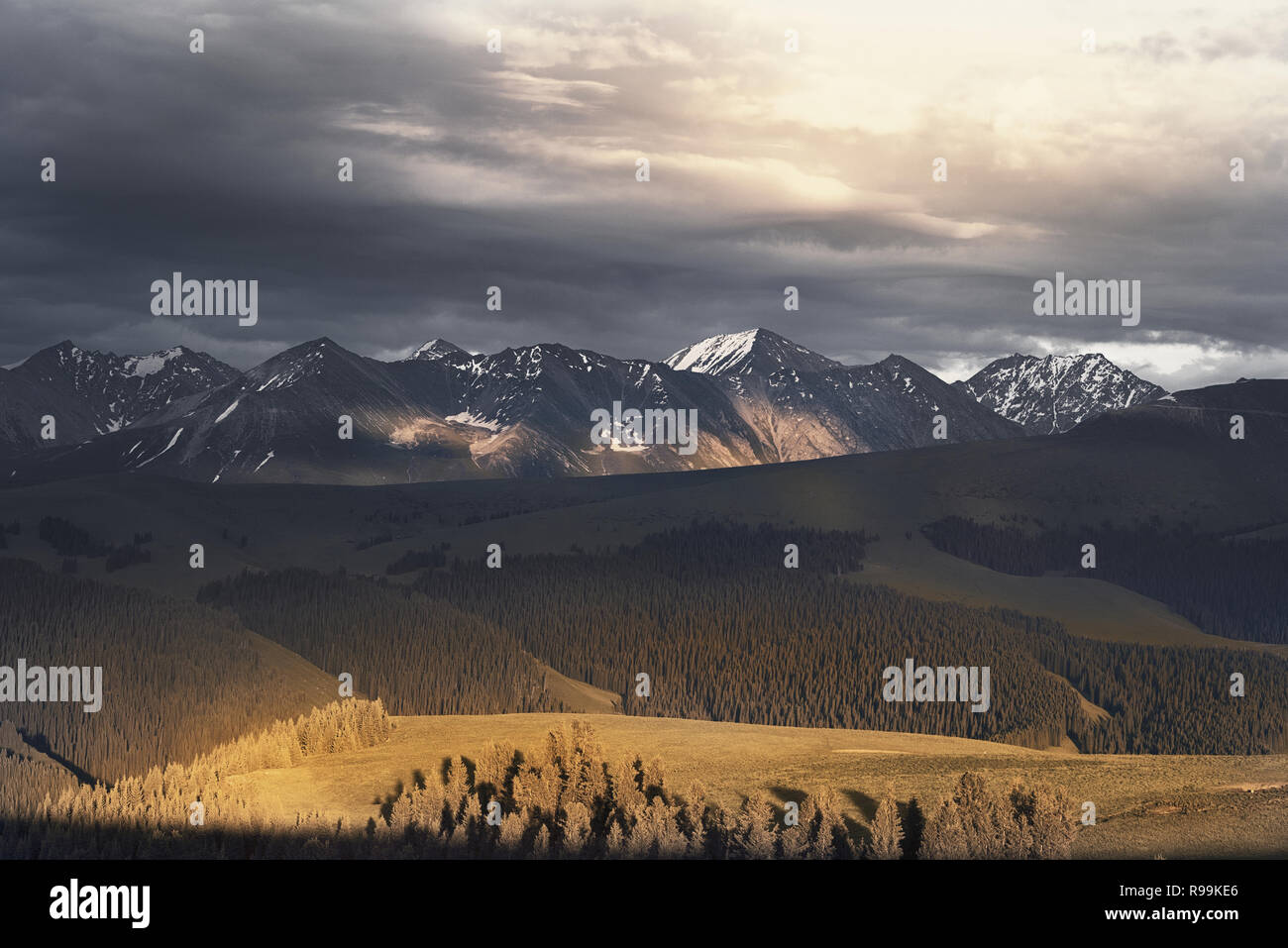 Kalajun prairies hi-res stock photography and images - Alamy