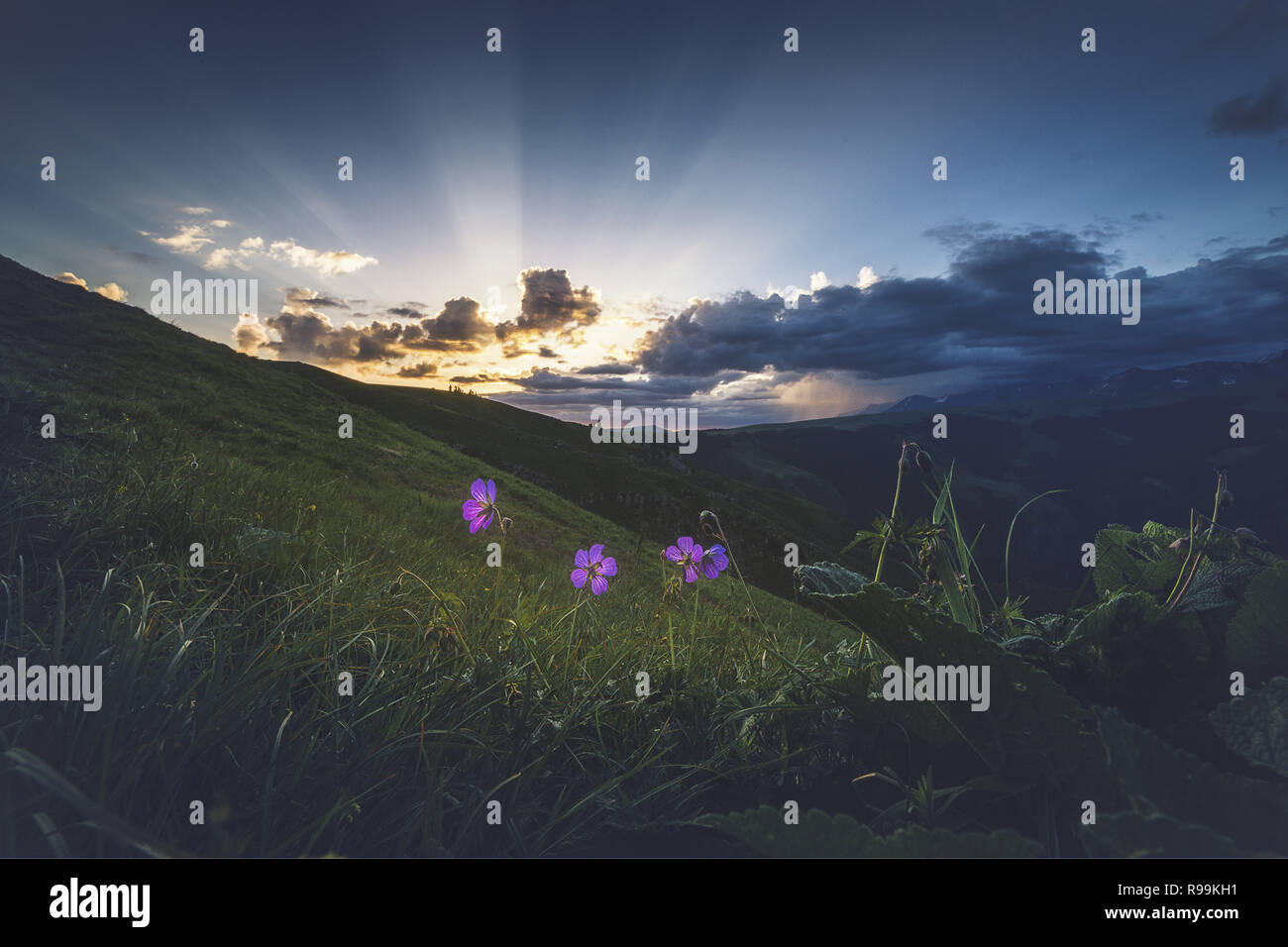 Kalajun prairies hi-res stock photography and images - Alamy
