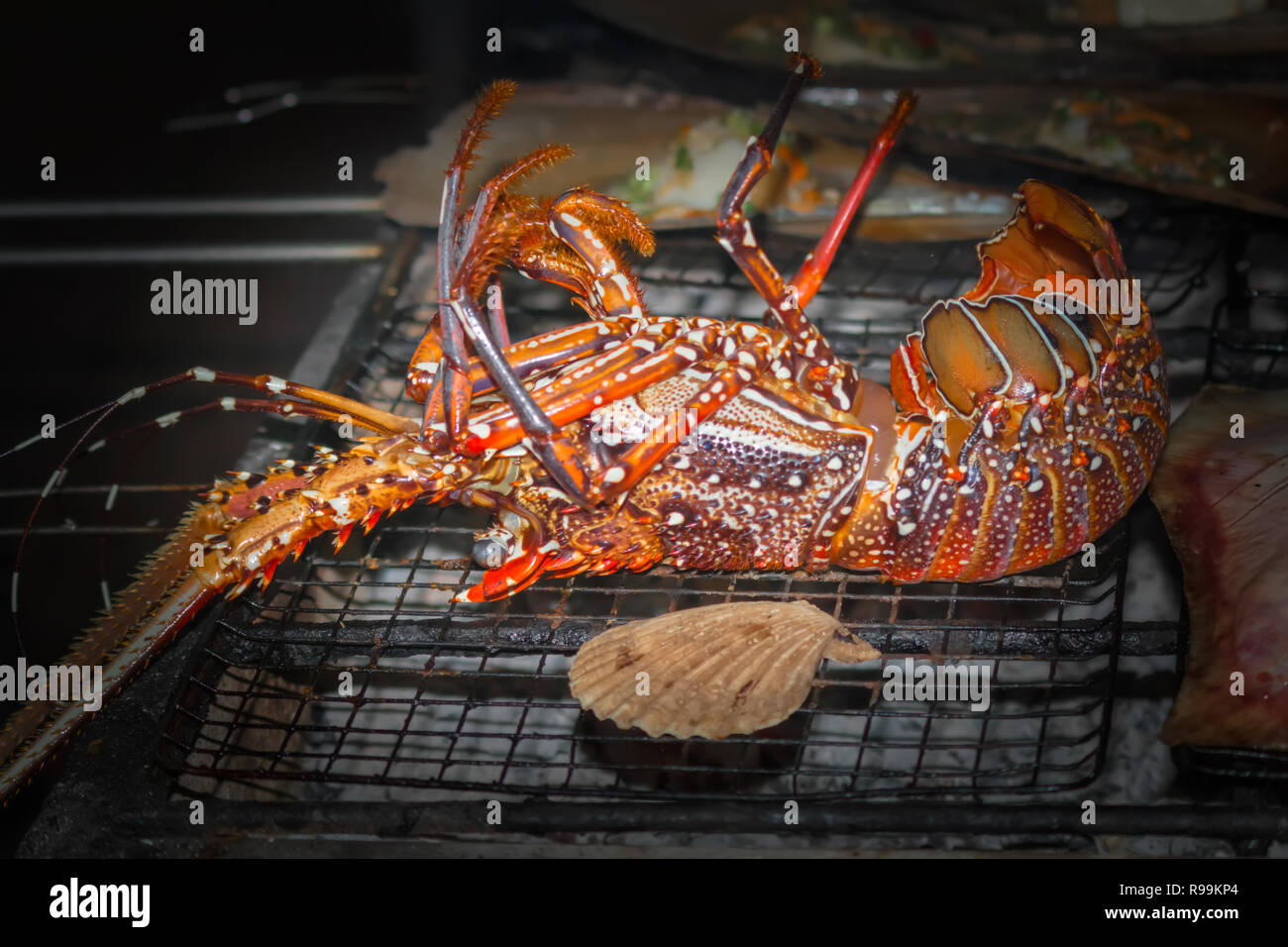 Nephropidae hi-res stock photography and images - Alamy