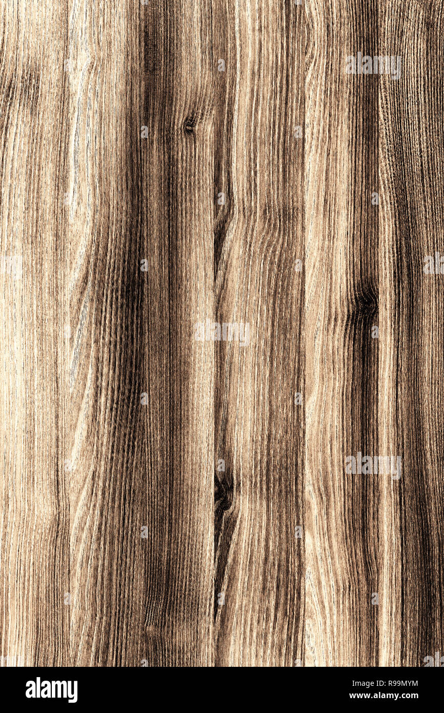 Acacia Wood Texture