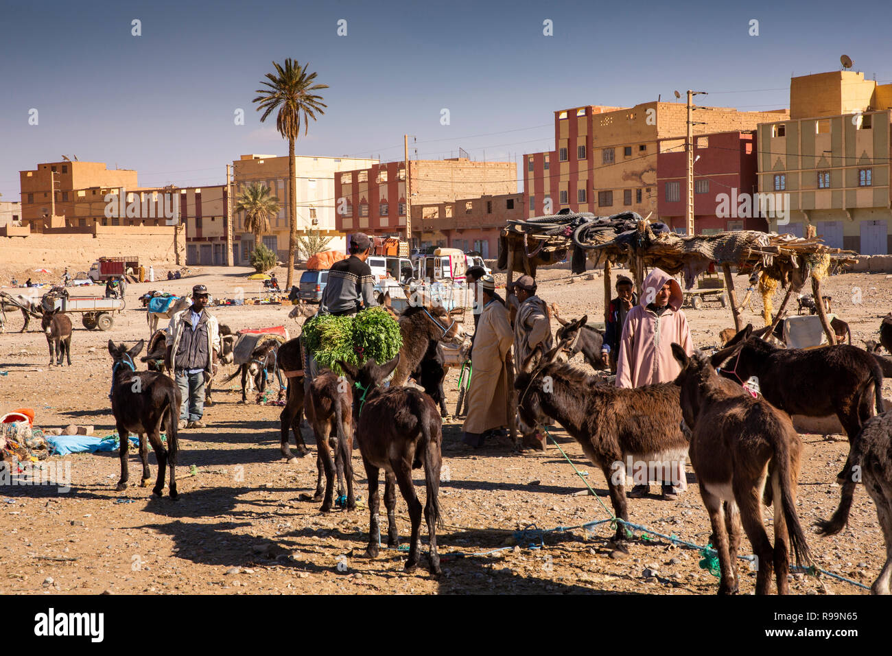 Morocco donkey market rissani High Resolution Stock Photography and ...