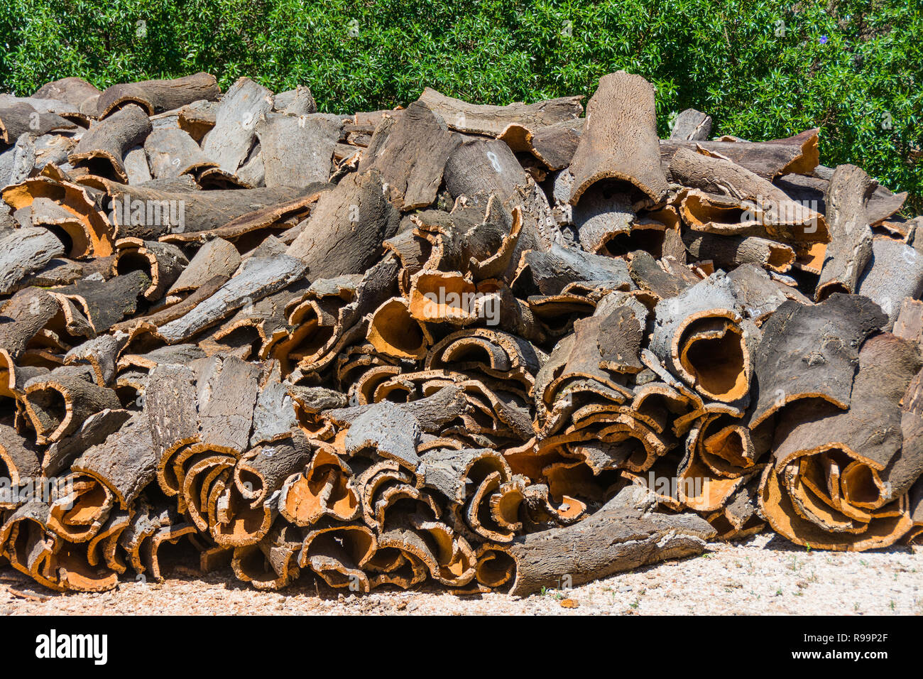 Cork Processing High Resolution Stock Photography and Images - Alamy