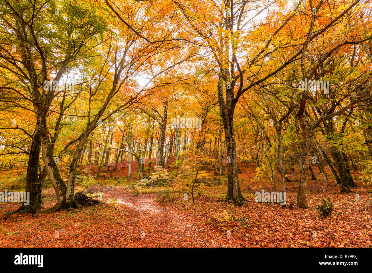 Cimini mountains hi-res stock photography and images - Alamy