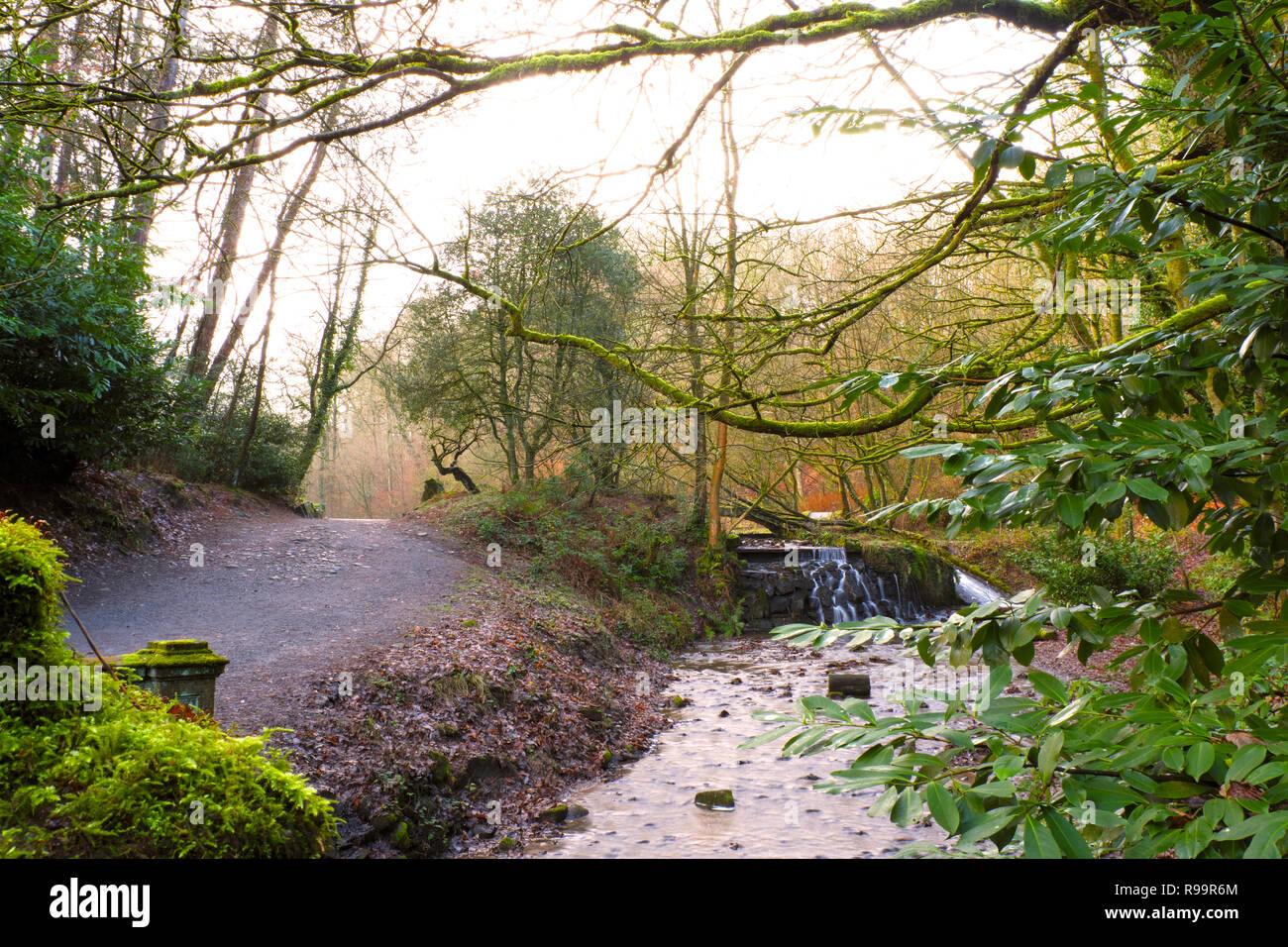 Waterfall in lancashire hi-res stock photography and images - Alamy