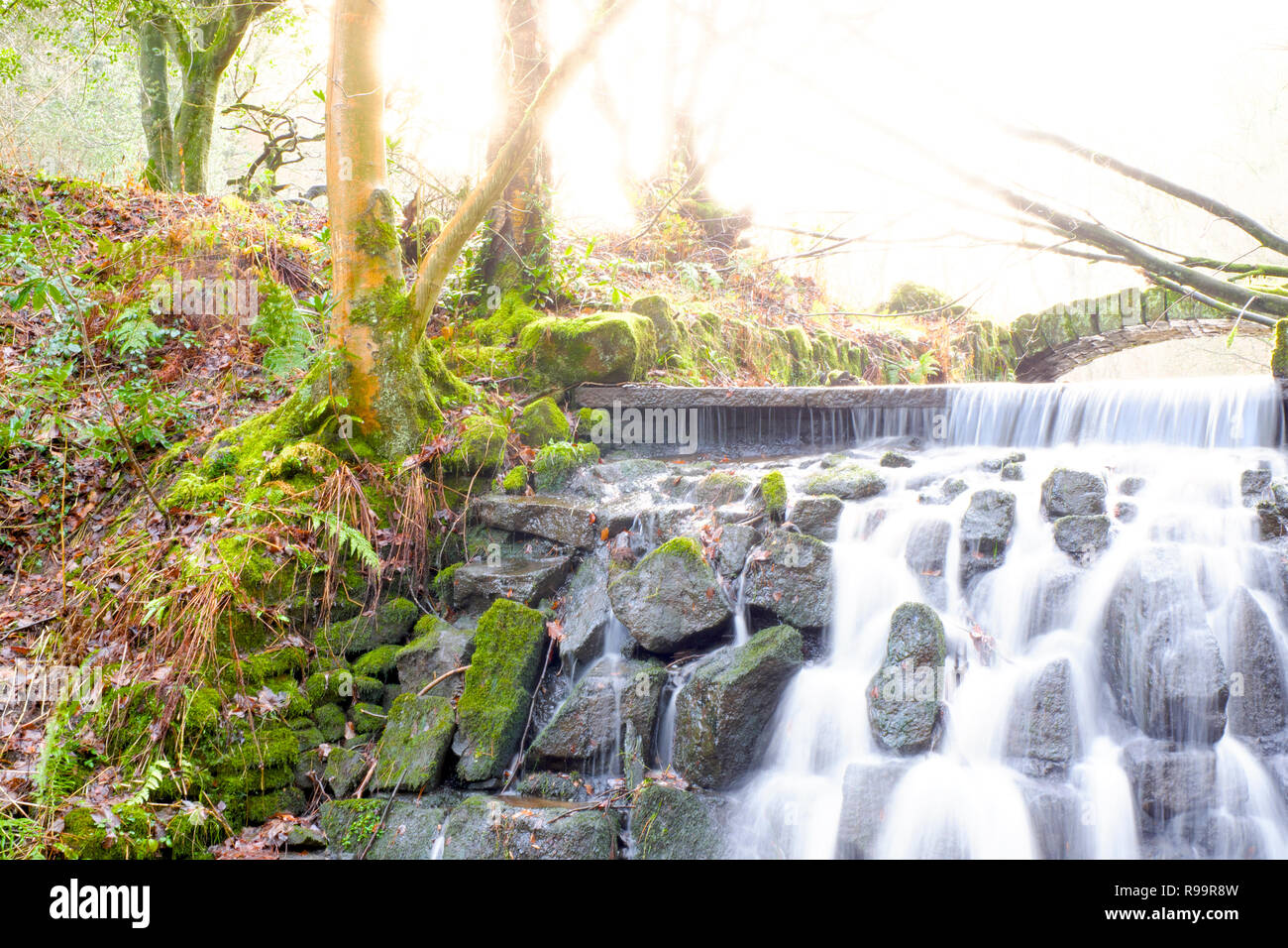 Woods and river in Lancashire, UK Stock Photo - Alamy