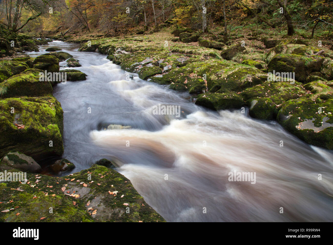 The Strid Yorkshire Dales High Resolution Stock Photography and Images ...