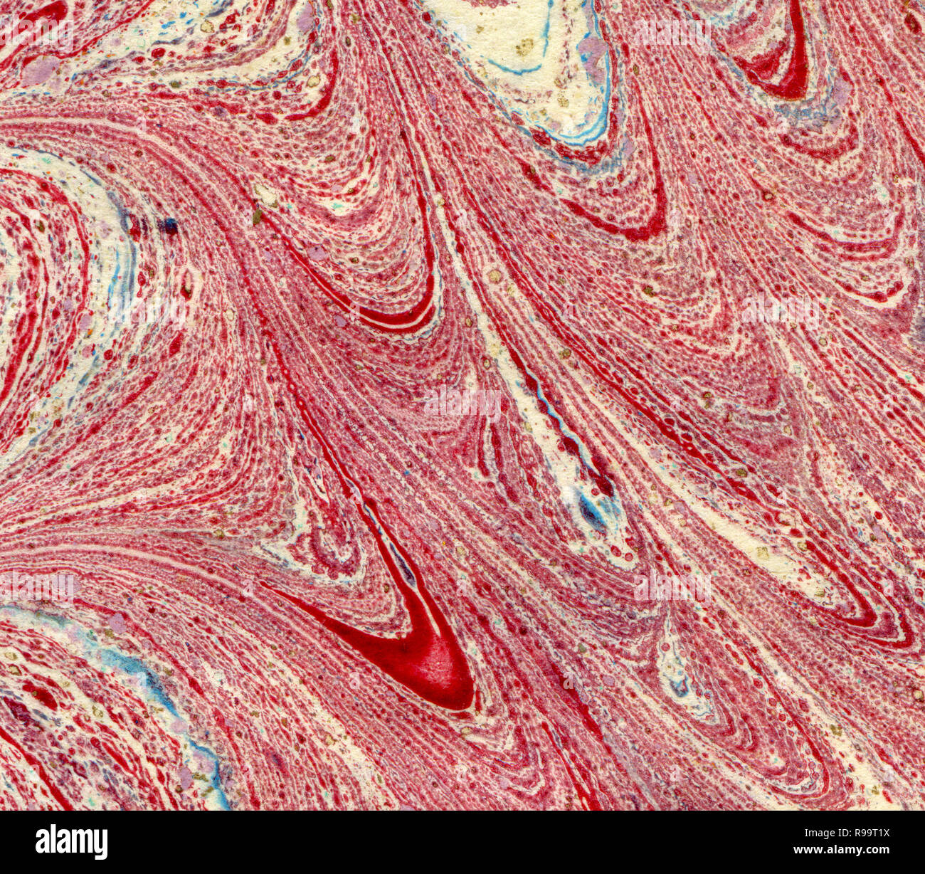 Oil painting texture hi-res stock photography and images - Alamy