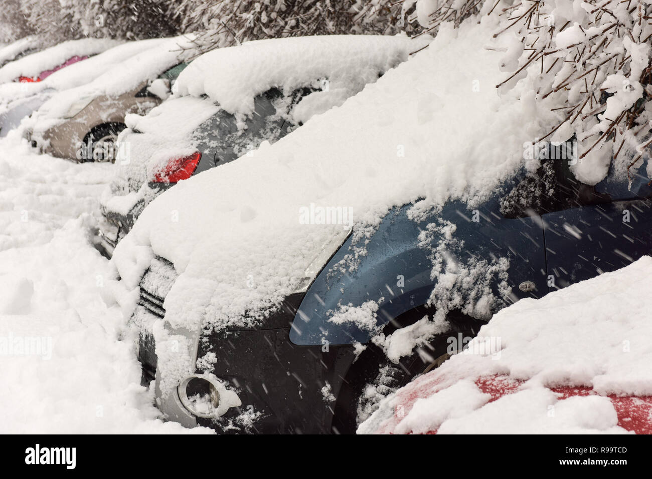 Winter cars covered with fresh white snow Stock Photo - Alamy