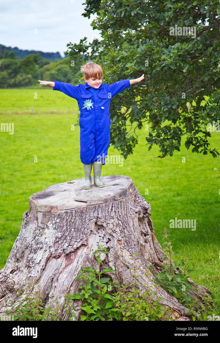 Boy on a tree stump Stock Photo - Alamy