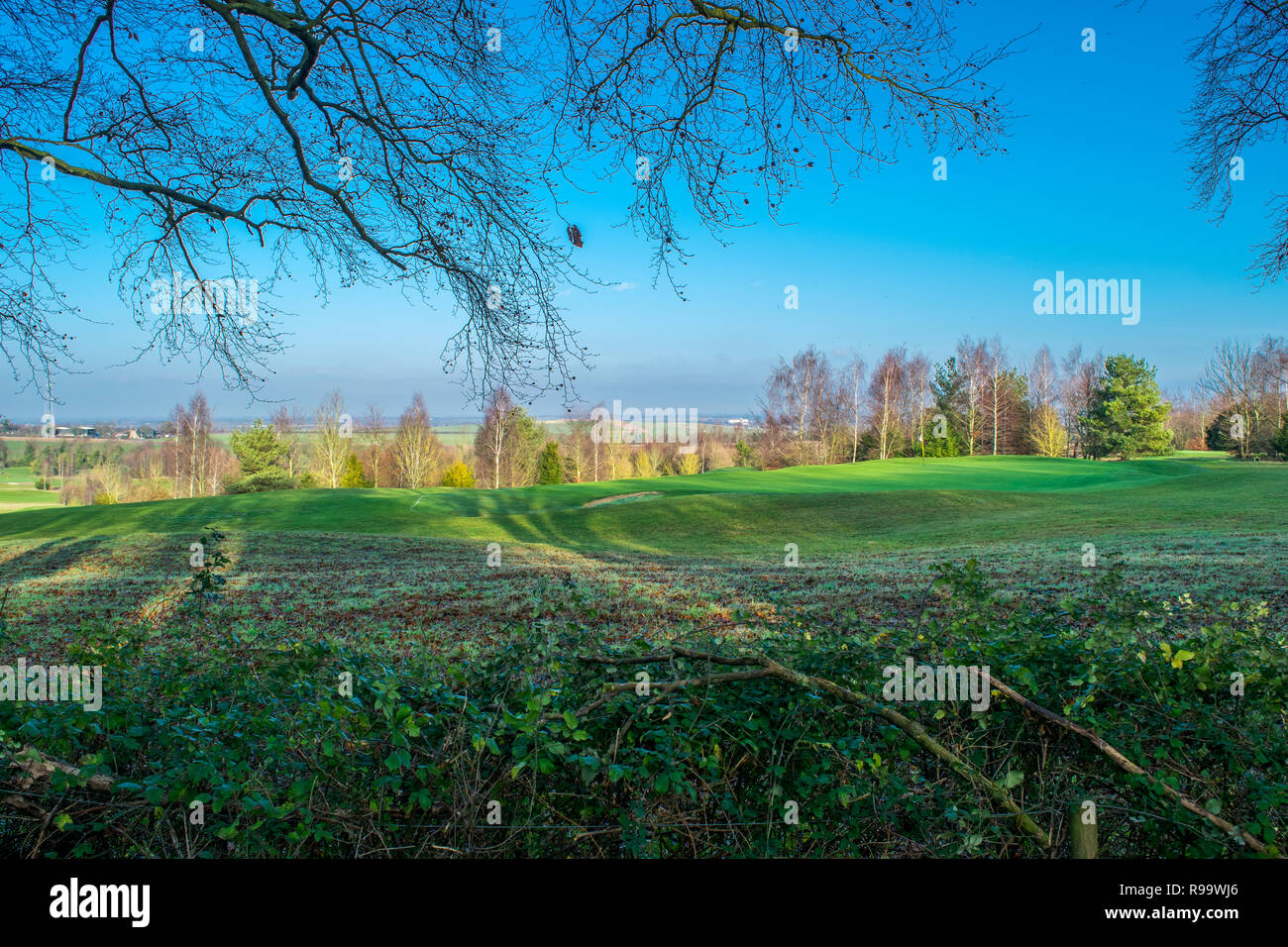 Golf Course Green Stock Photo - Alamy