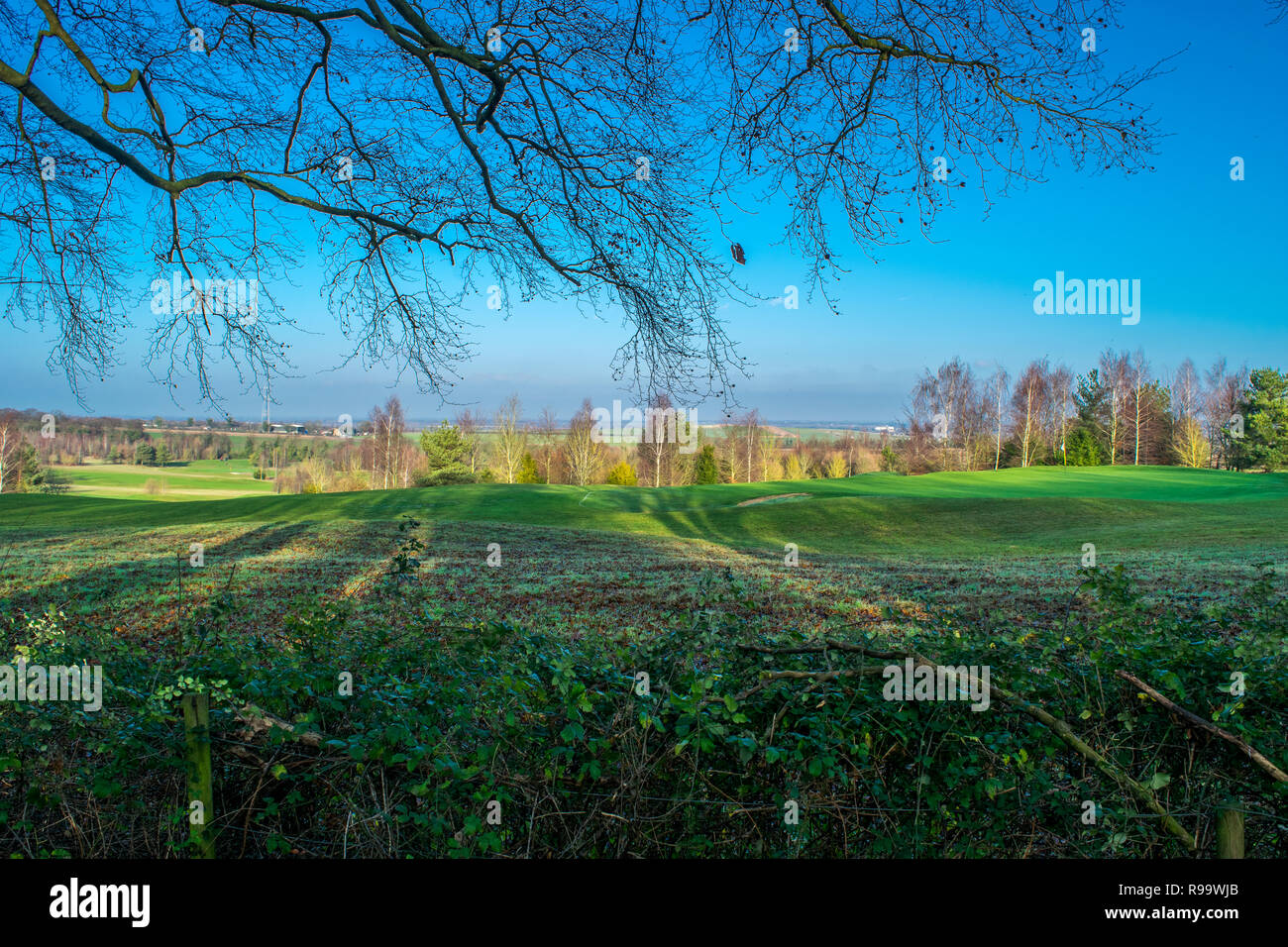 Golf Course Green Stock Photo - Alamy