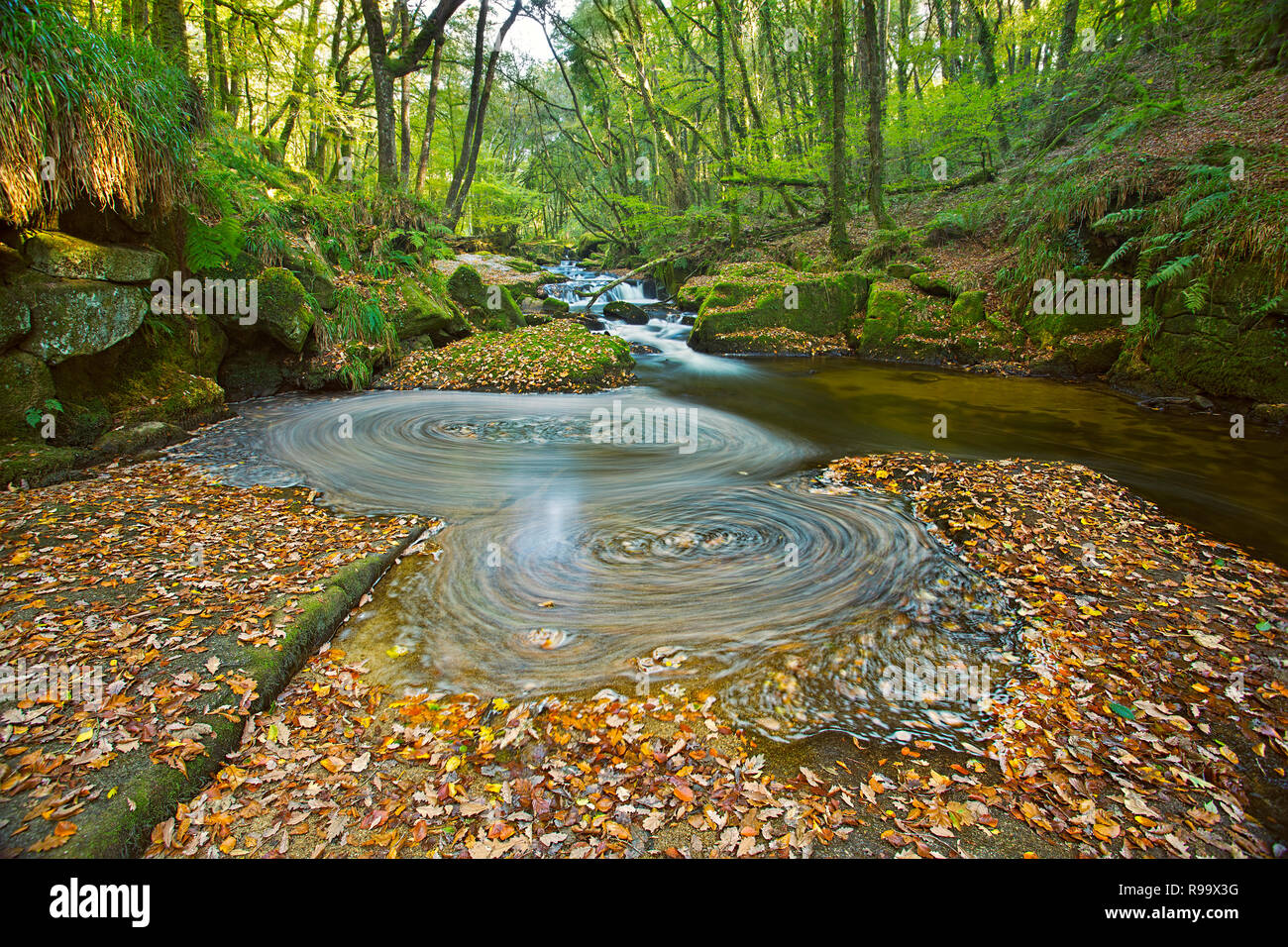 River Fowey at Golitha Falls, Cornwall, England Stock Photo - Alamy