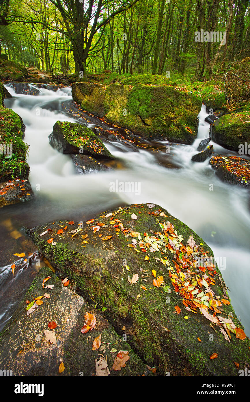 River Fowey at Golitha Falls, Cornwall, England Stock Photo - Alamy