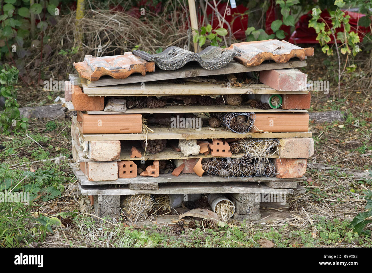 Insect house built from pallets and bricks and recyclable materials ...