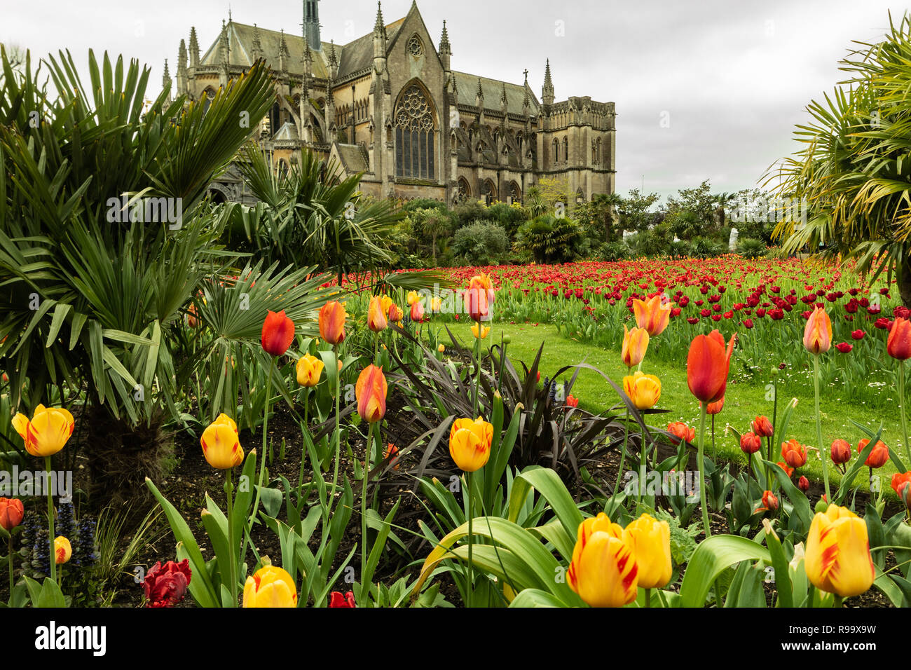 Tulip Festival at Arundel Castle Stock Photo - Alamy