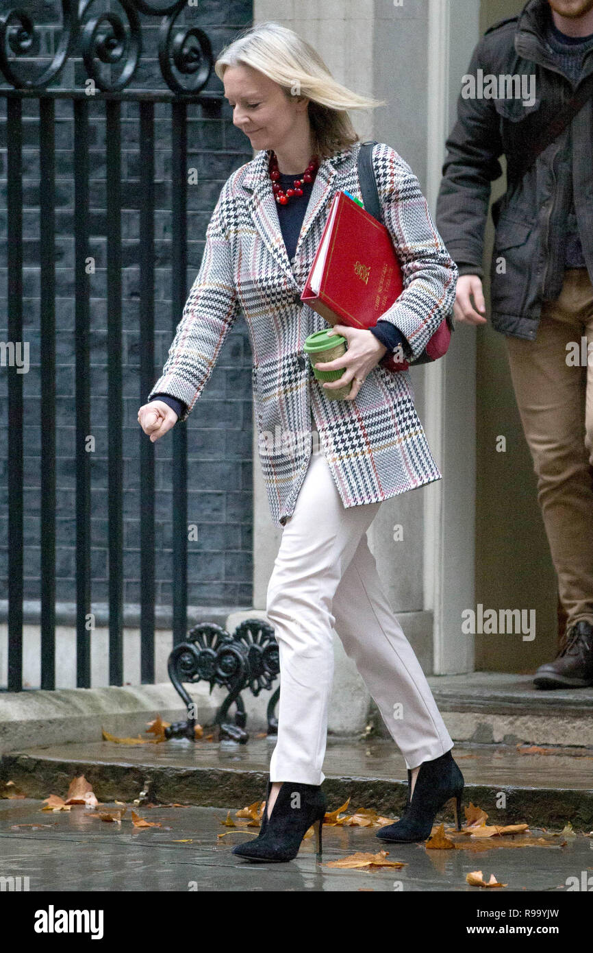 Elizabeth Truss MP, Chief Secretary to the Treasury, departs Downing ...