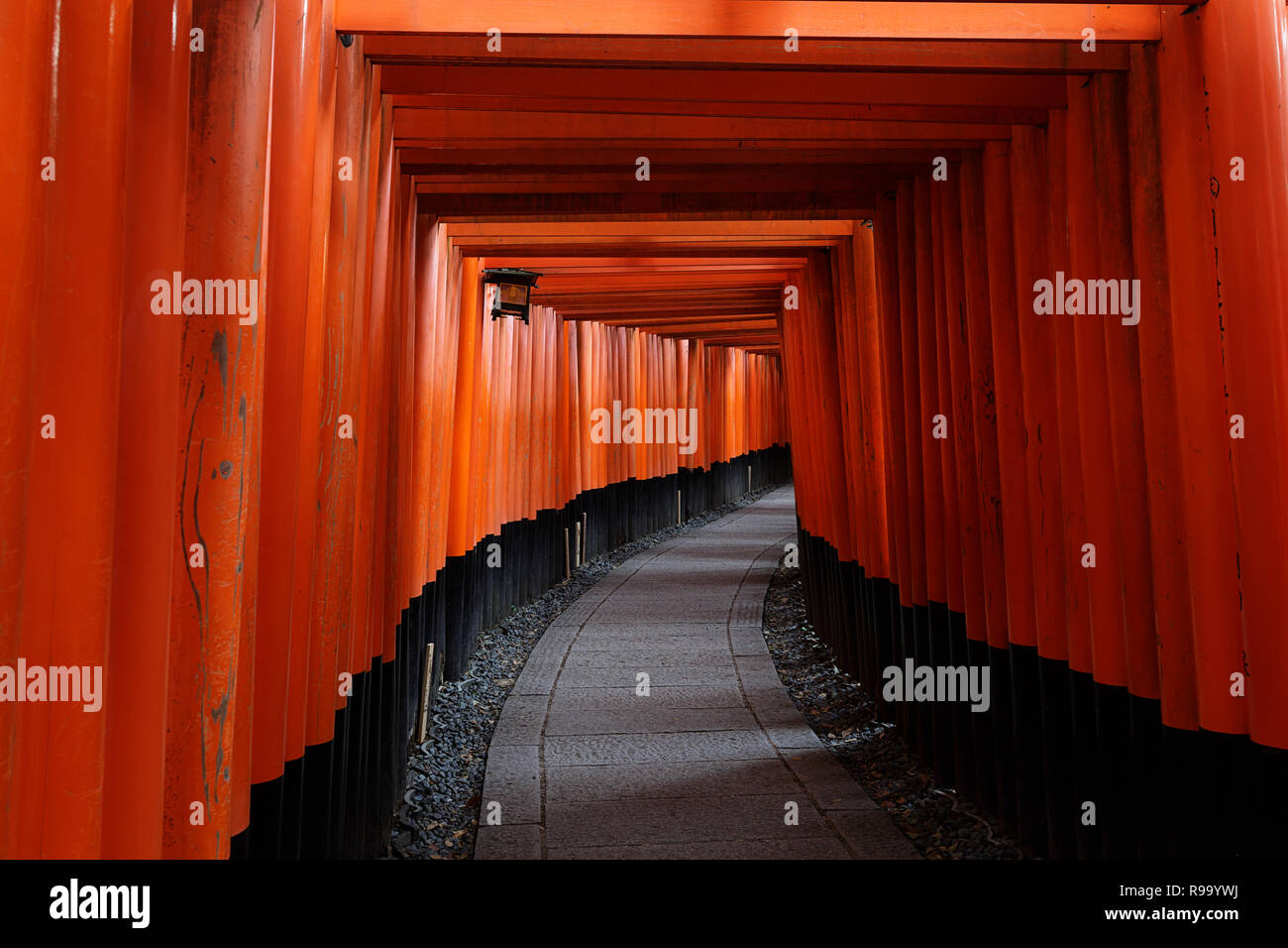 Beautiful tunnel of torii doors in the Fushimi Inari shrine of Kyoto ...