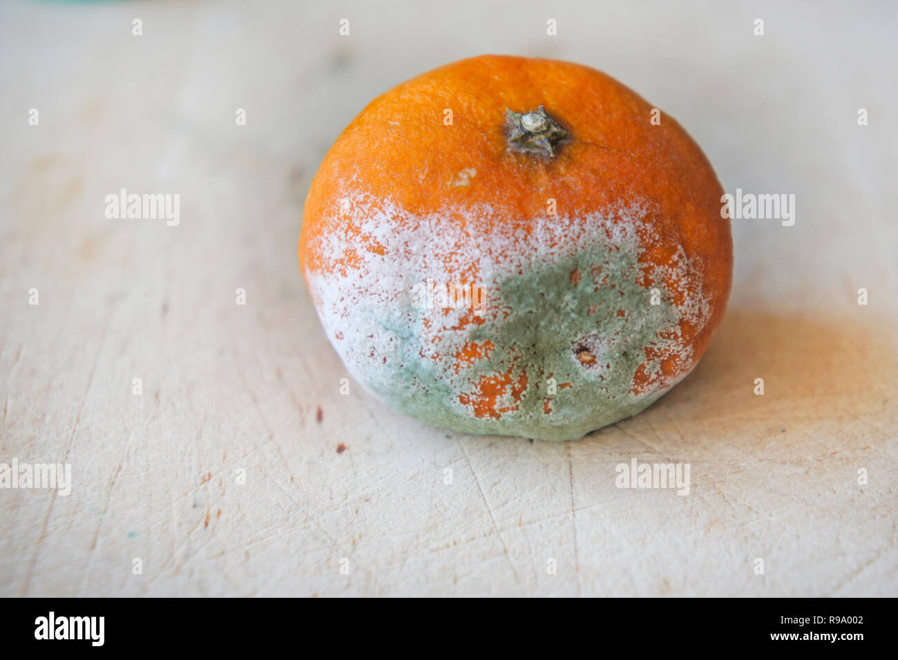 Orange pourrie hi-res stock photography and images - Alamy