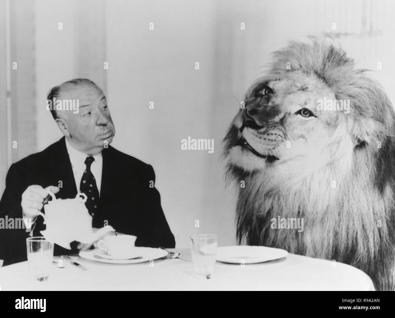 Alfred lion hi-res stock photography and images - Alamy