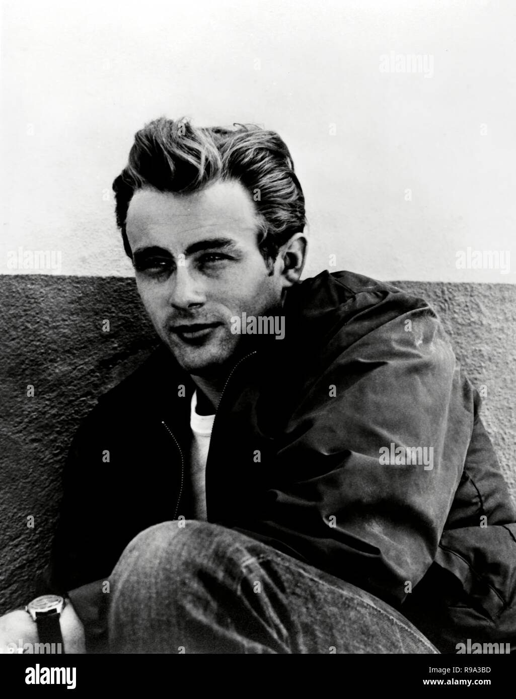 Nicholas ray portrait director hi-res stock photography and images - Alamy